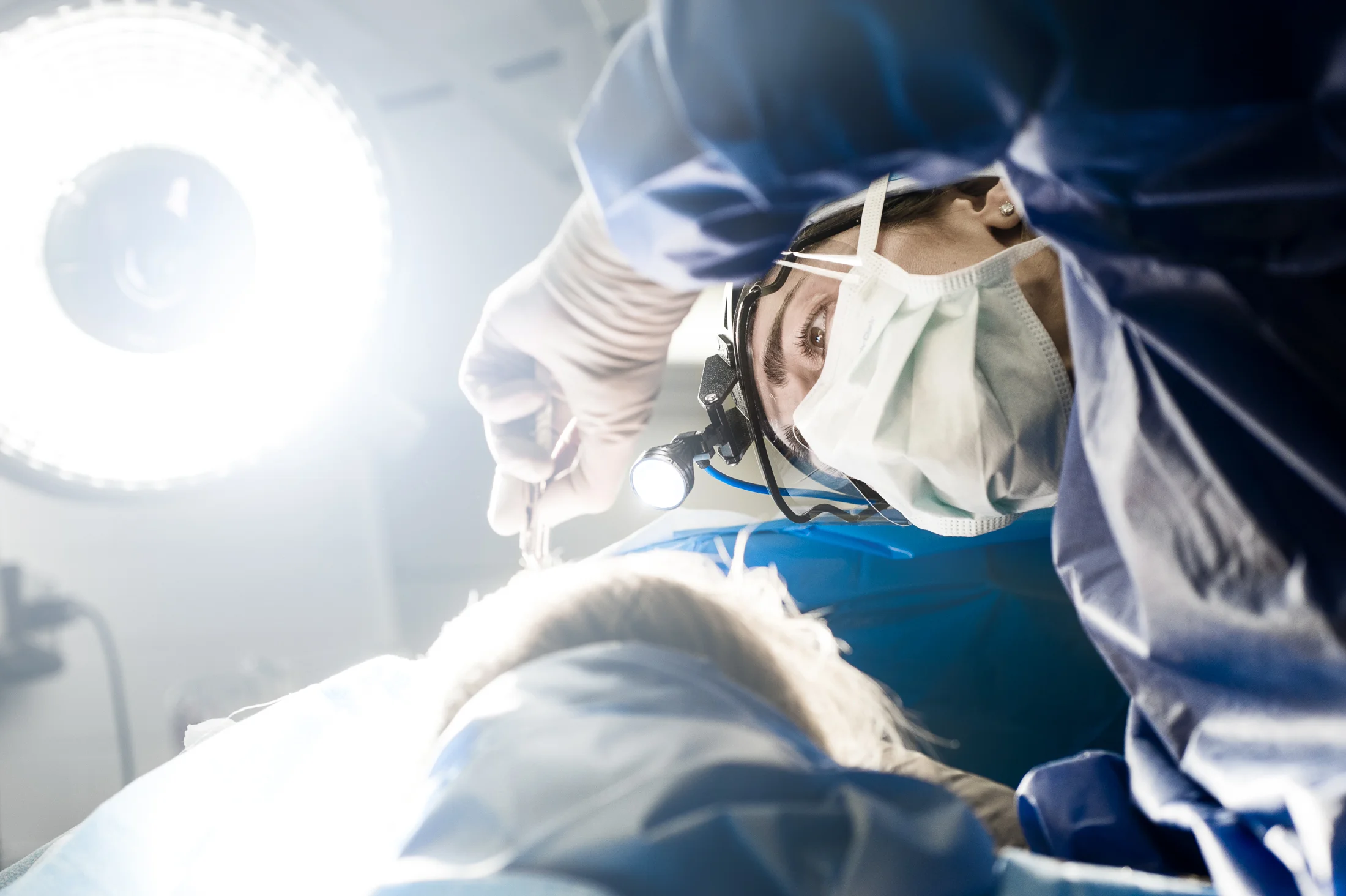 About — Copper Hound Pictures