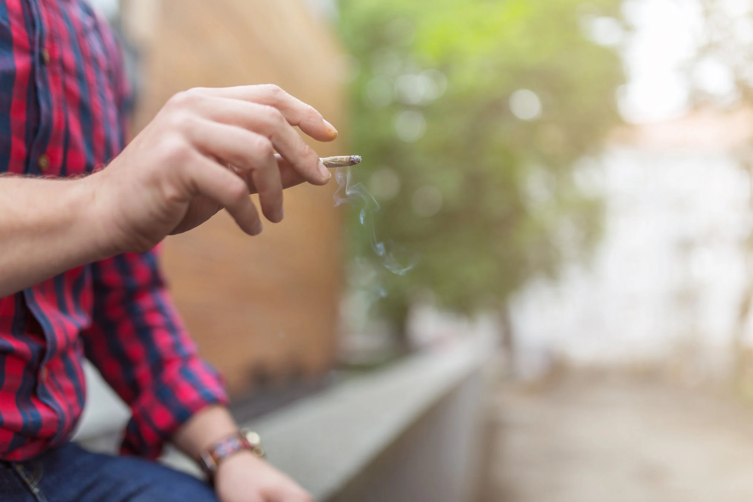 The Marijuana Doctor | Medical Marijuana Card