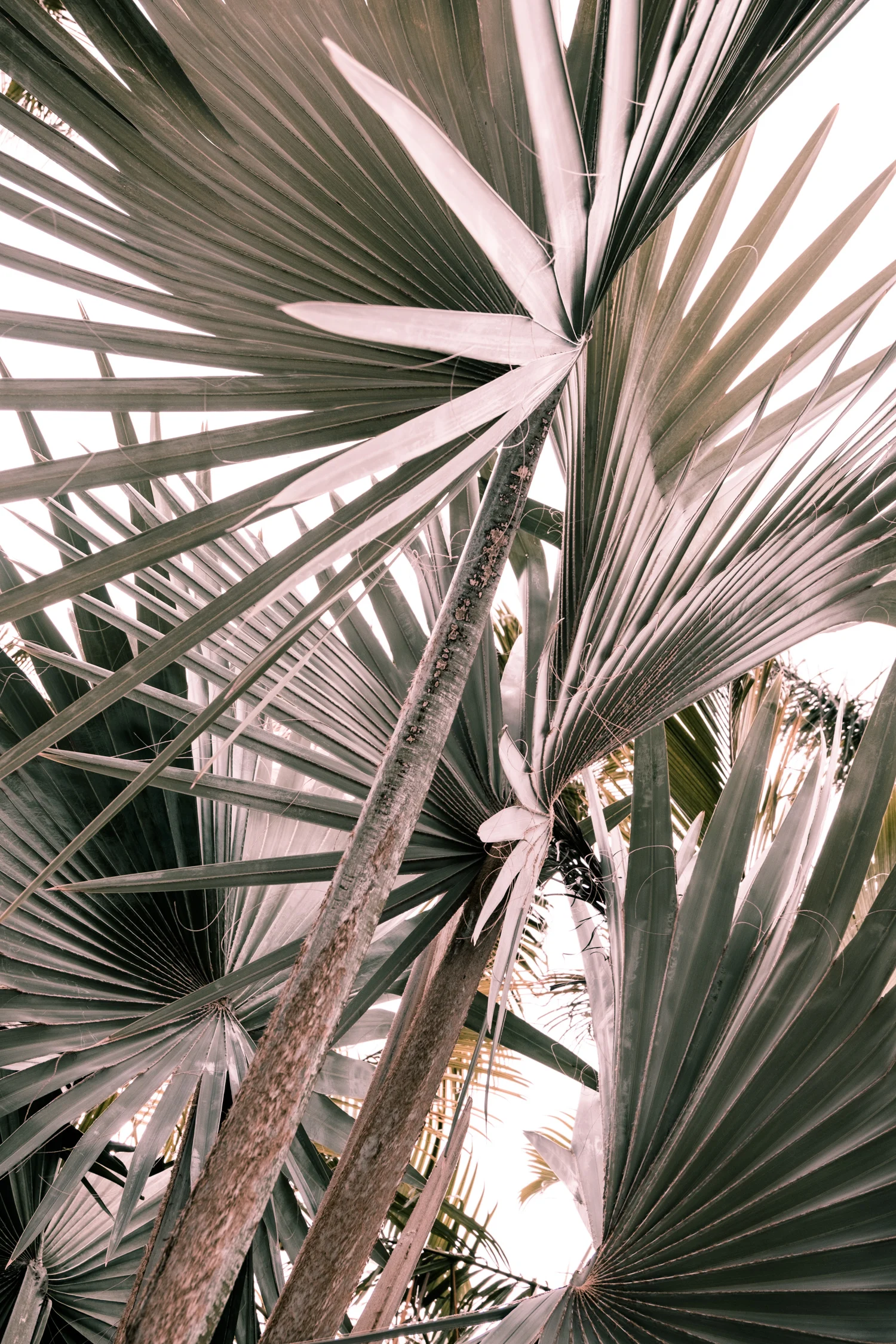 Fine Art Photography Prints From Places by the Sea — Isabella Bejarano ...