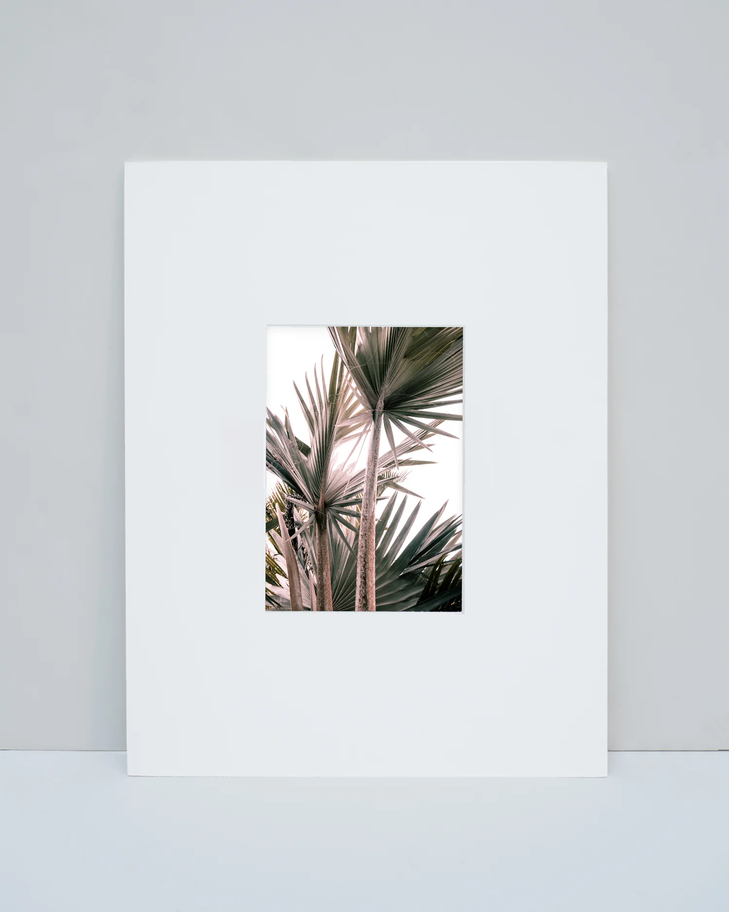 Matted Prints — Isabella Bejarano STUDIO