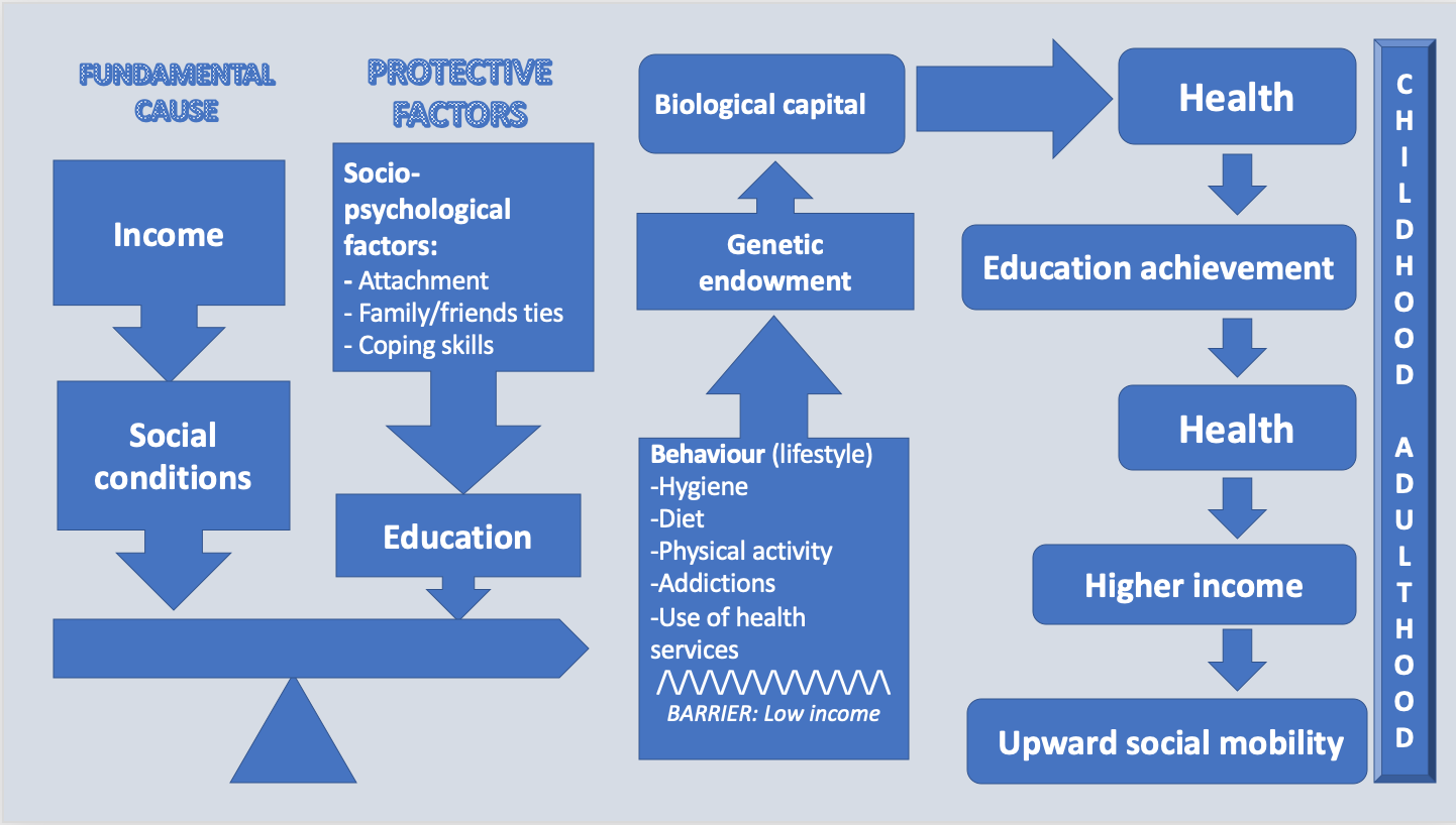 AHI HPS Theoretical Framework — Affordable Health Initiative