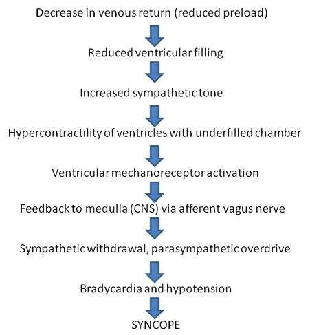Syncope: A FOAMed Review — mcdreeamie-musings