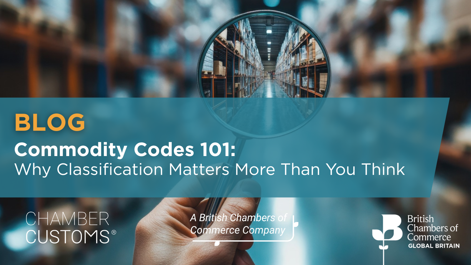 Commodity Codes 101: Why Classification Matters | ChamberCustoms — ChamberCustoms | Customs ...