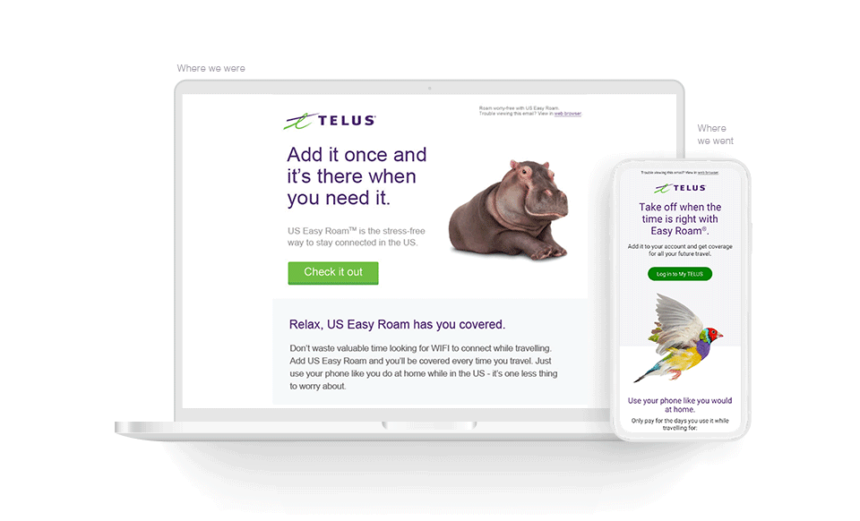 Email Design System (Copy) — Steph Simms