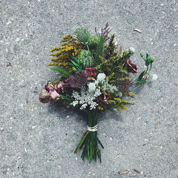 Flowers — little fields