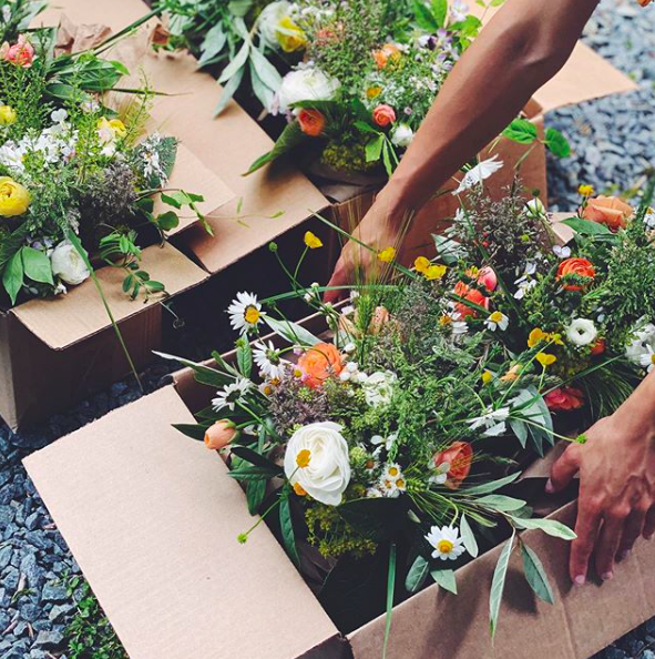 Flowers — little fields