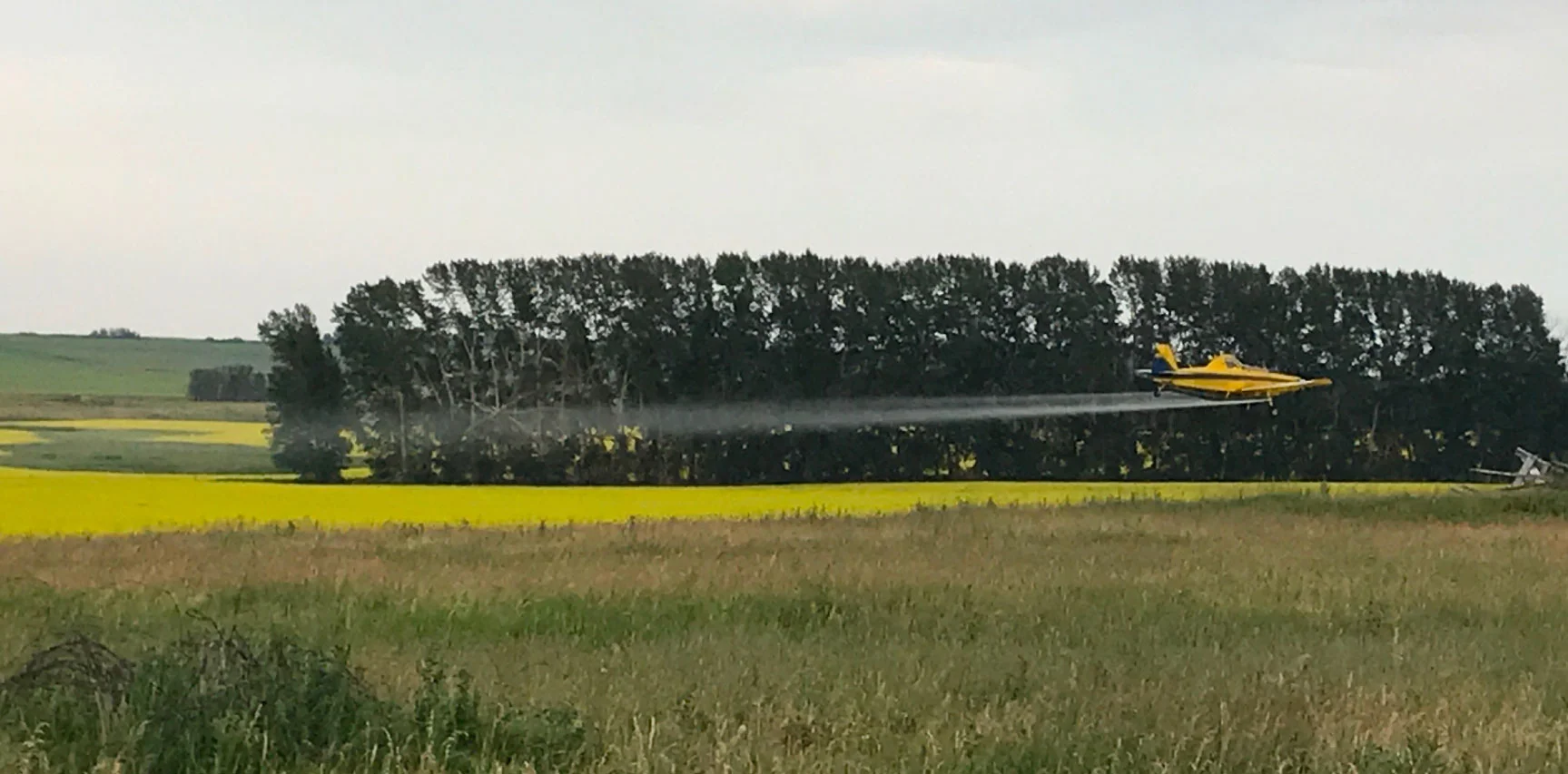 Carstairs — Core Ag Inputs