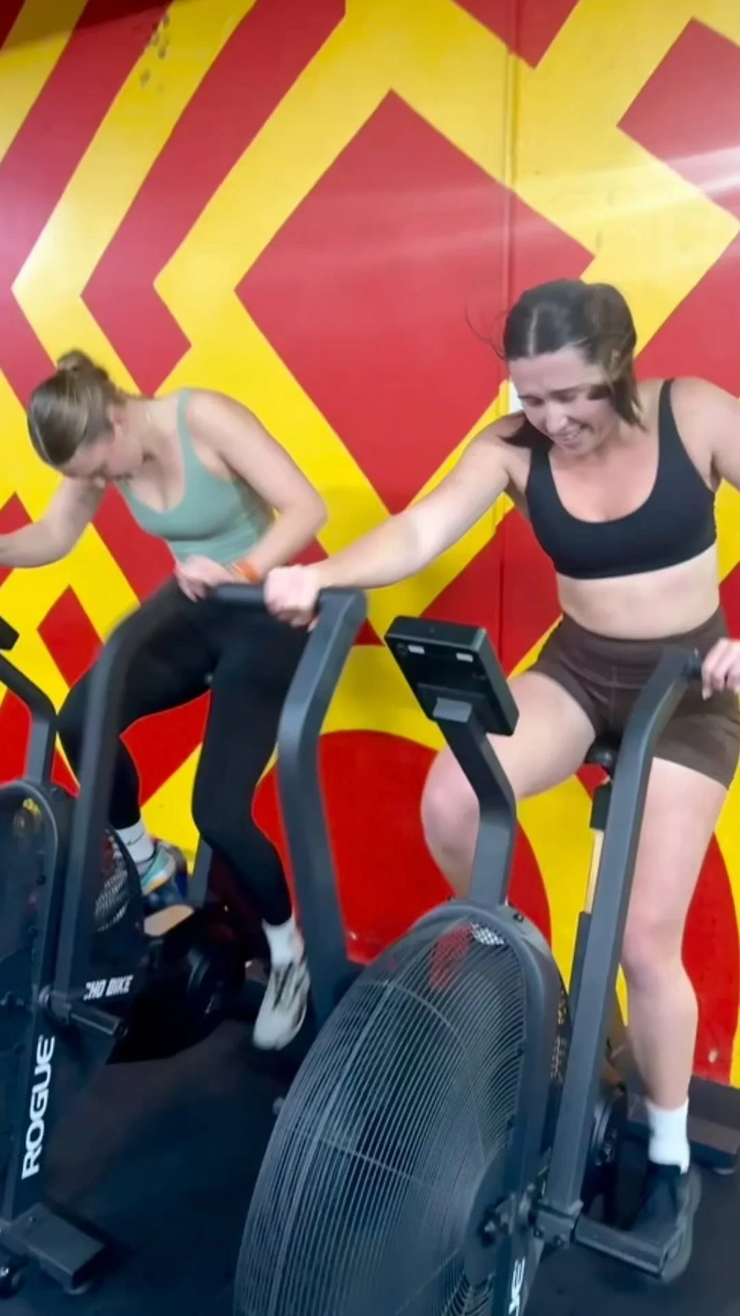 Bondi Junction | Friendly, local business since 2007 | Bondi Gym