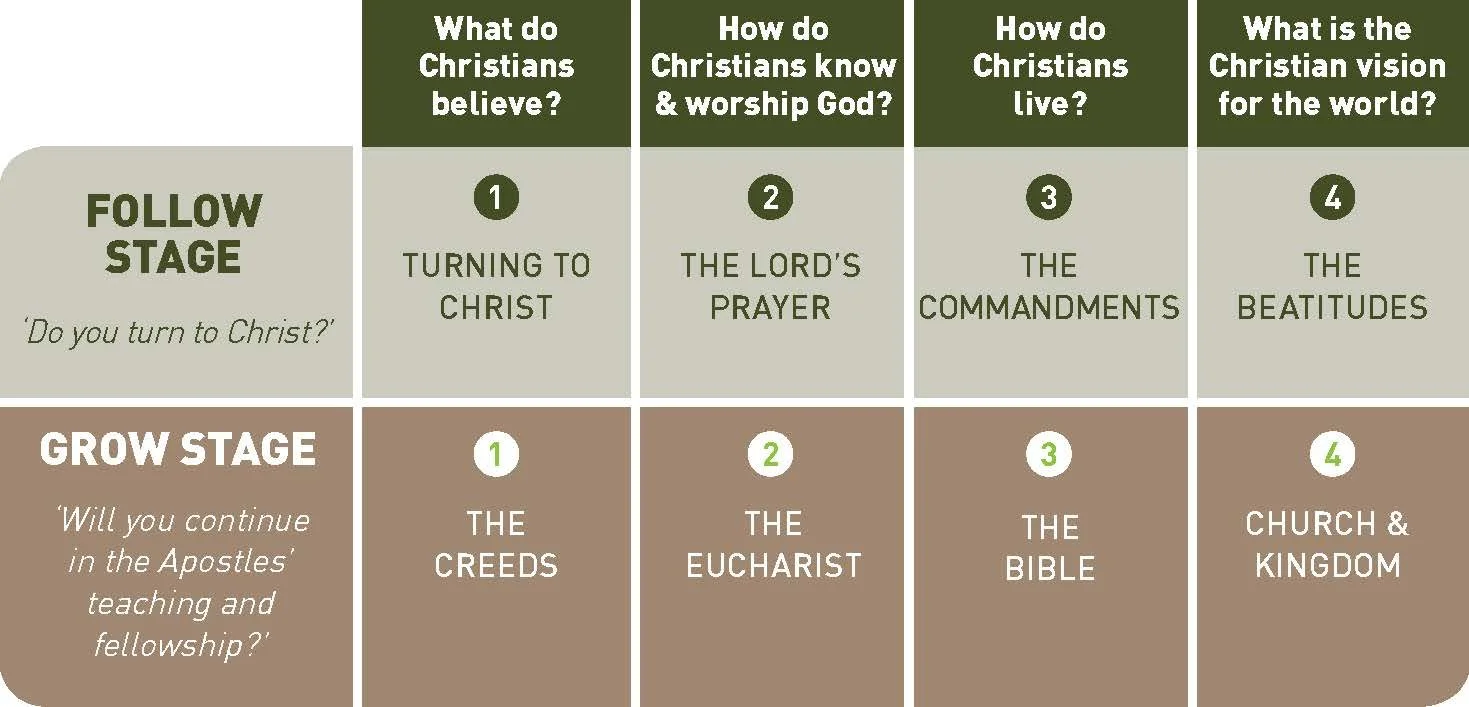 Adult Formation — St. Mark's Cathedral