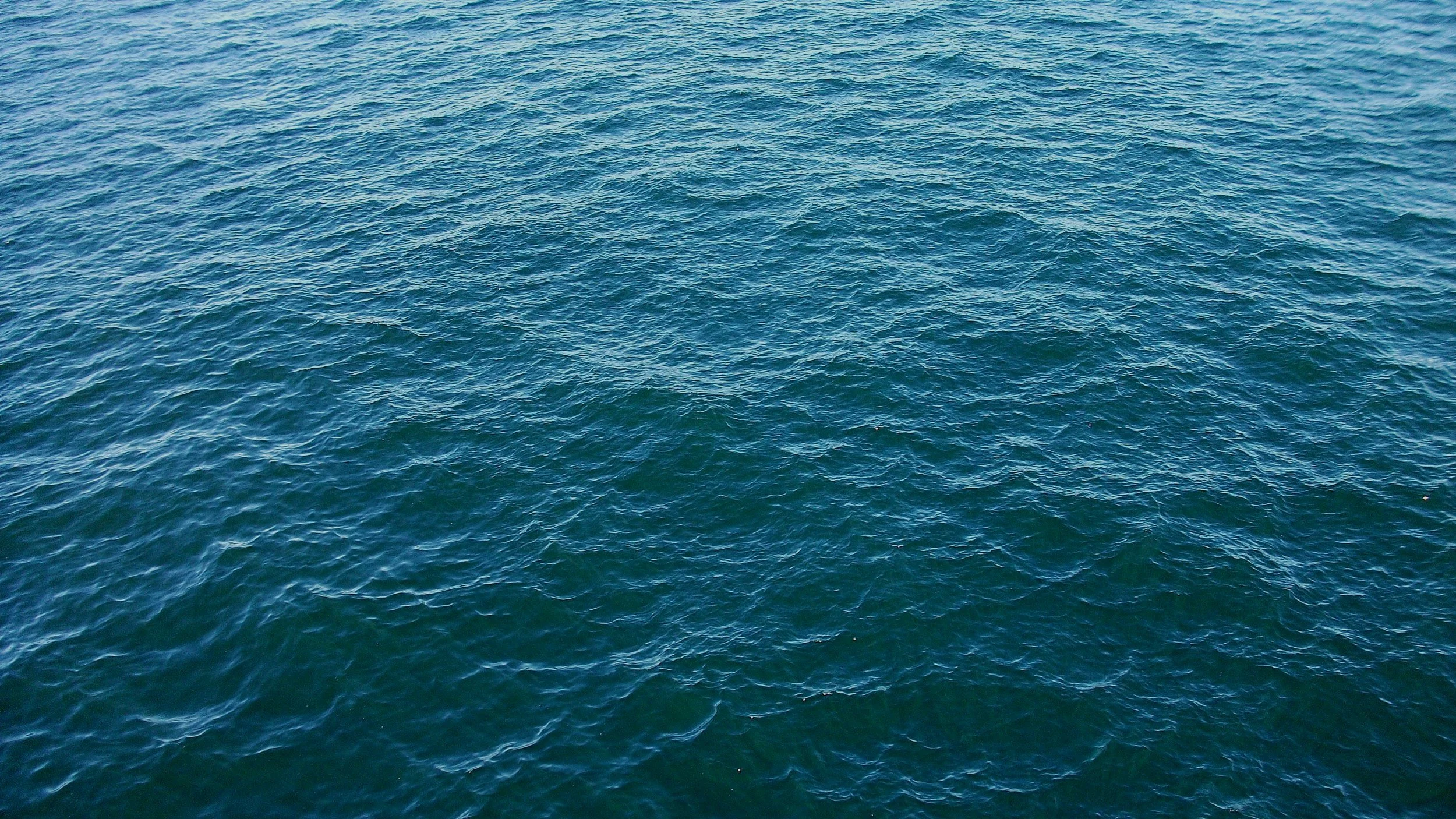 About — Arena Capital Advisors