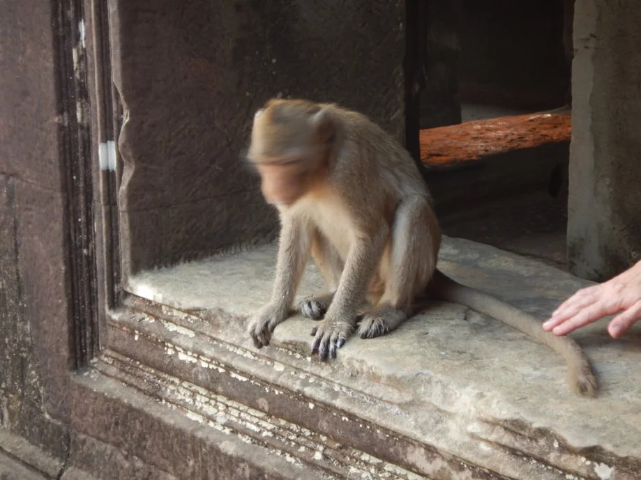 Know Your Ocean Etiquette — Will We Make It Out Alive?