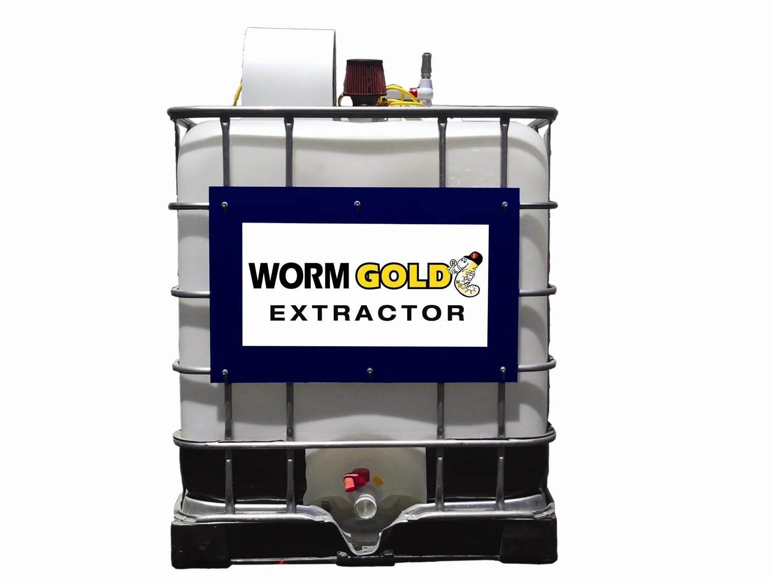 Worm Gold