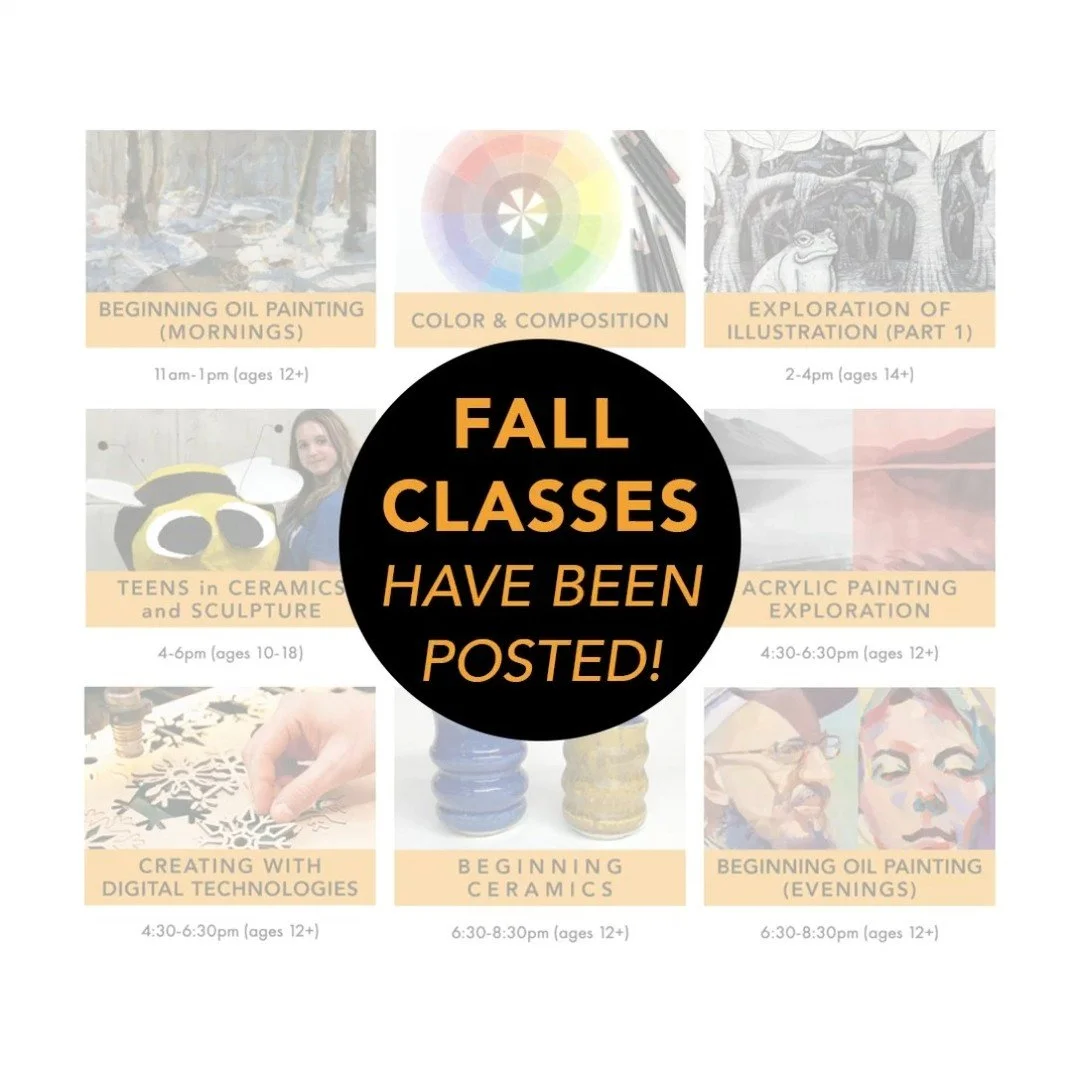 Visual Art Institute