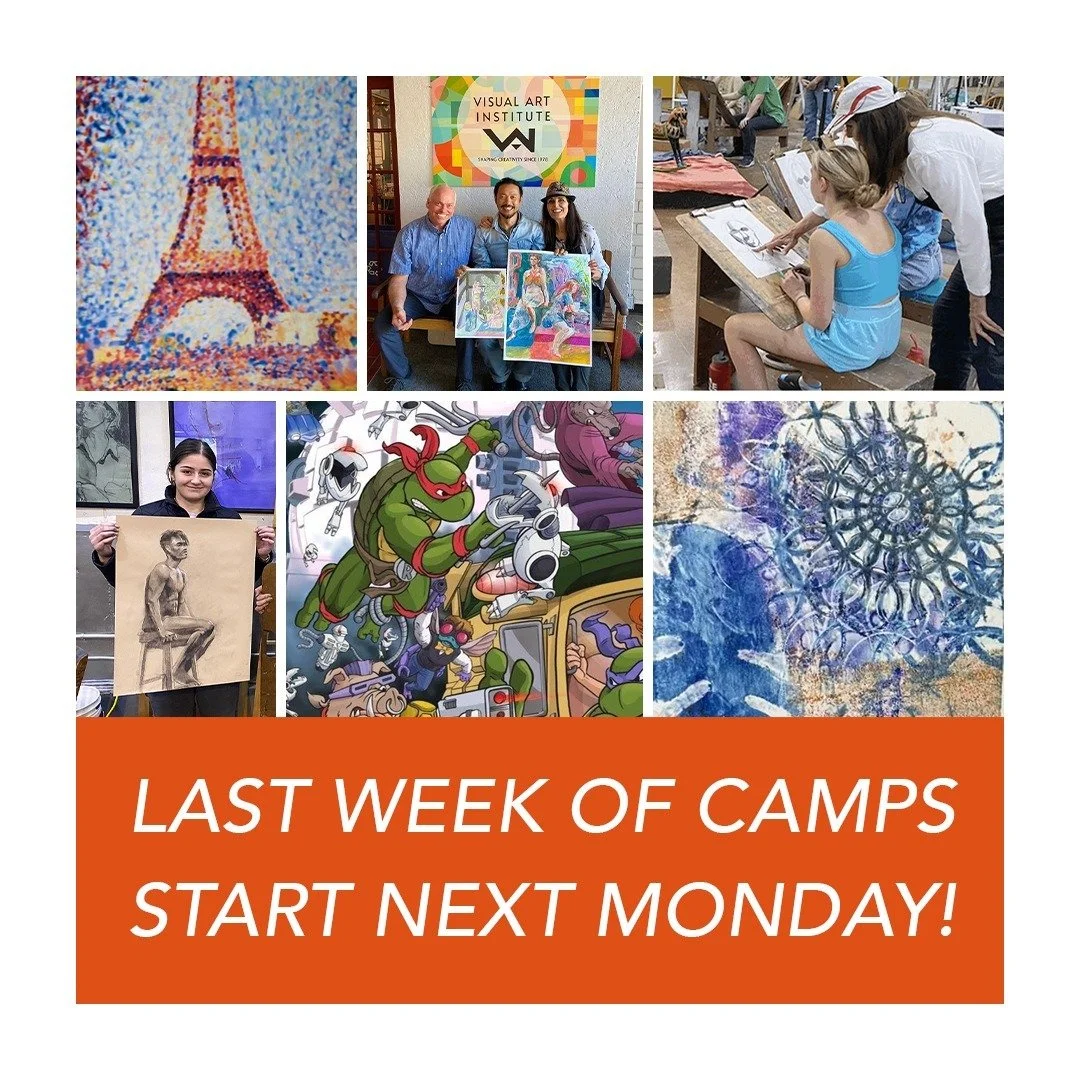 Visual Art Institute