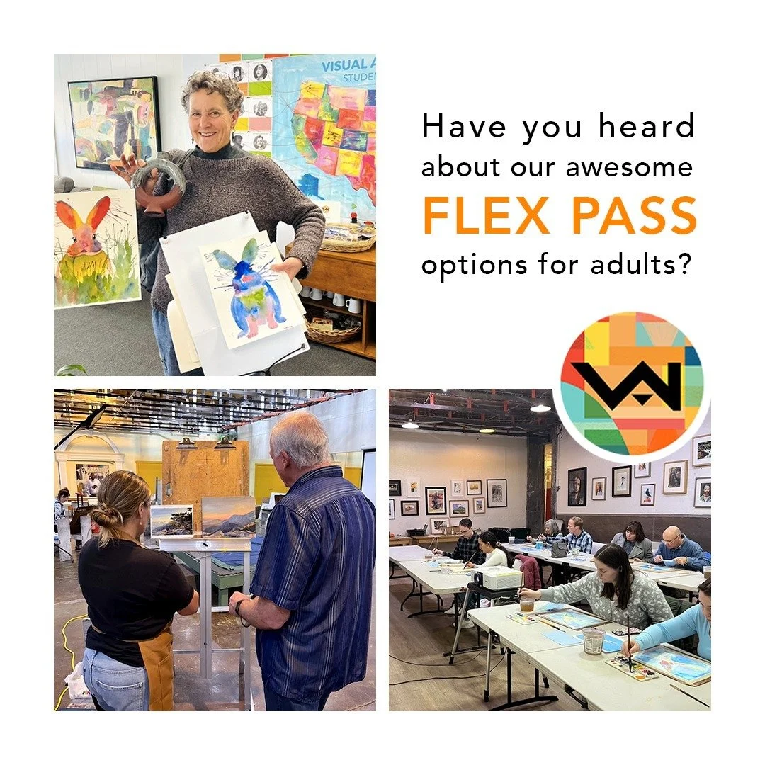 Visual Art Institute