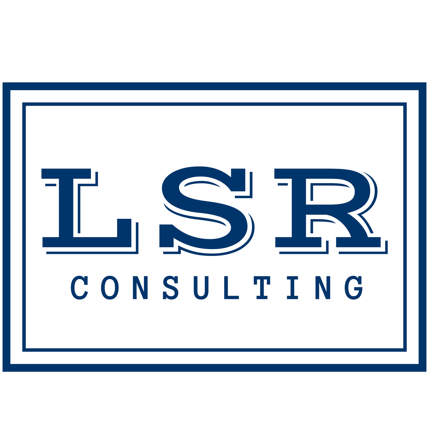 LSR Consulting LSR Consulting-.