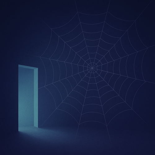 Arachnophobia — Sydney Phobia Clinic