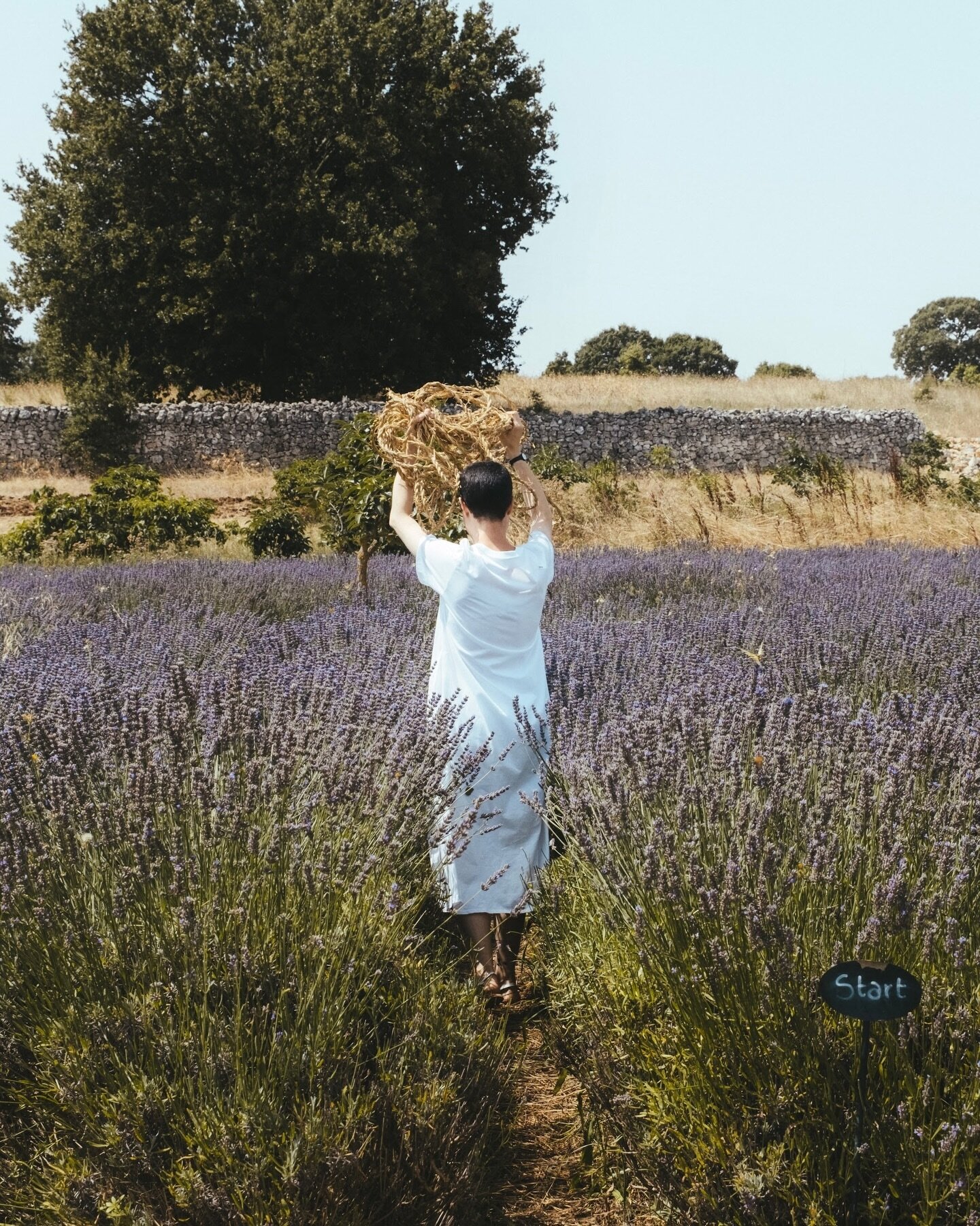 Eighty Degrees: Stories