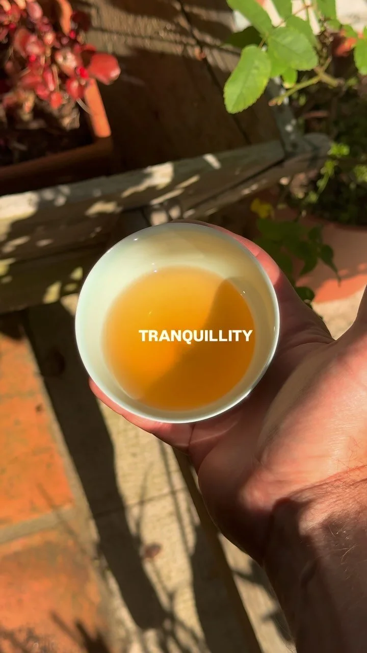 Eighty Degrees: Stories