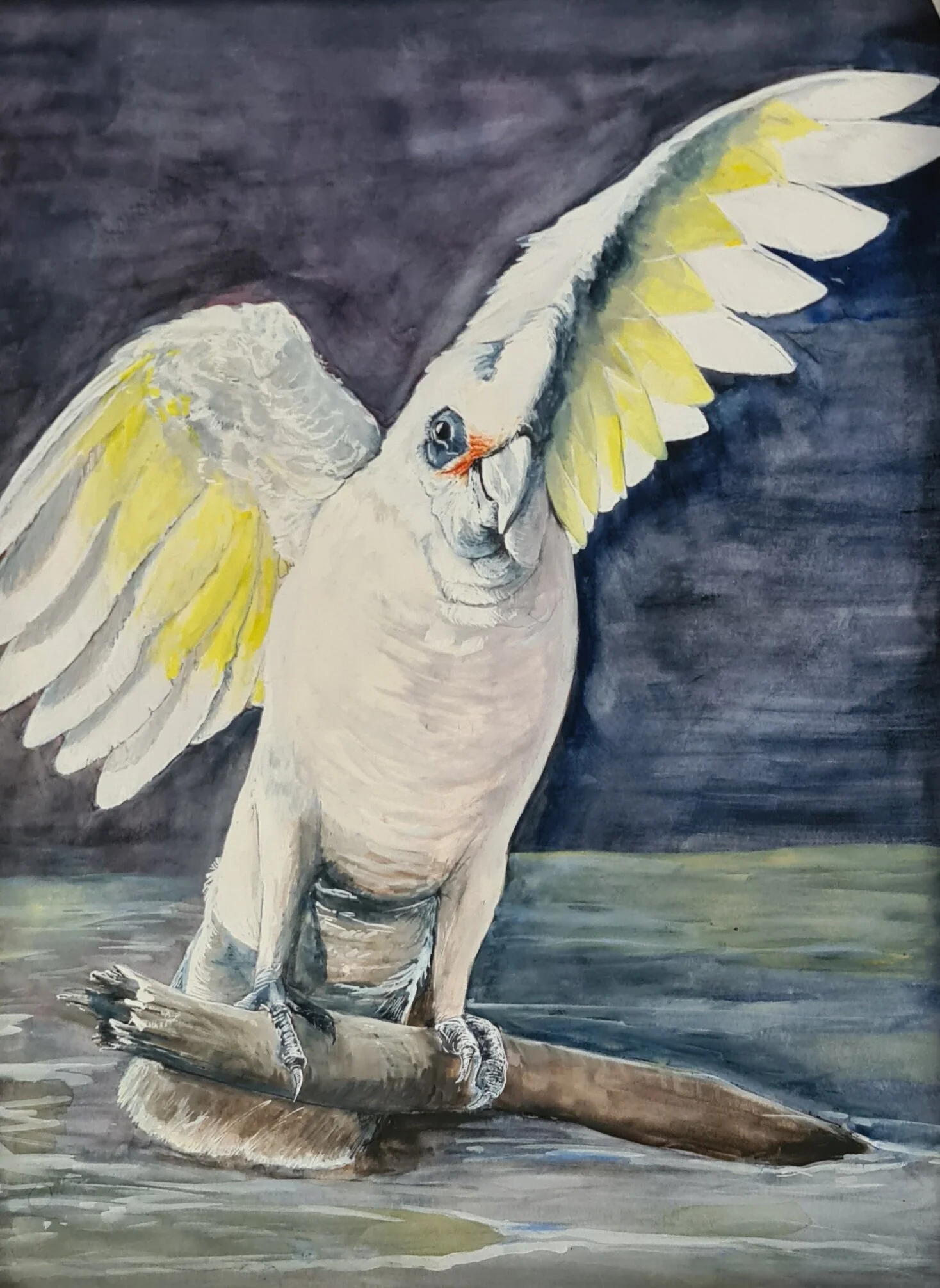 Past Exhibitions — Stanthorpe Regional Art Gallery