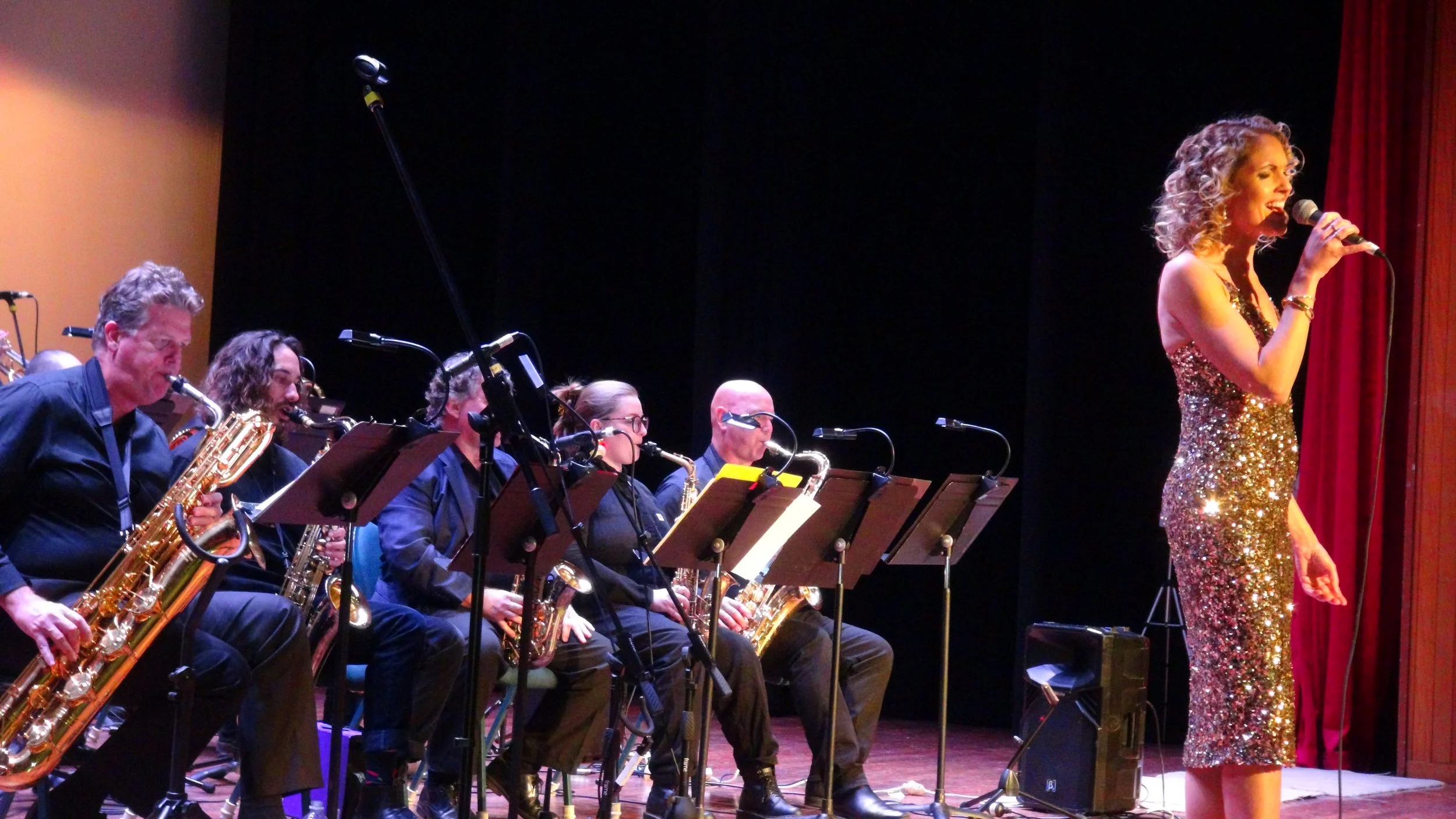 Music in the Gallery — Stanthorpe Regional Art Gallery