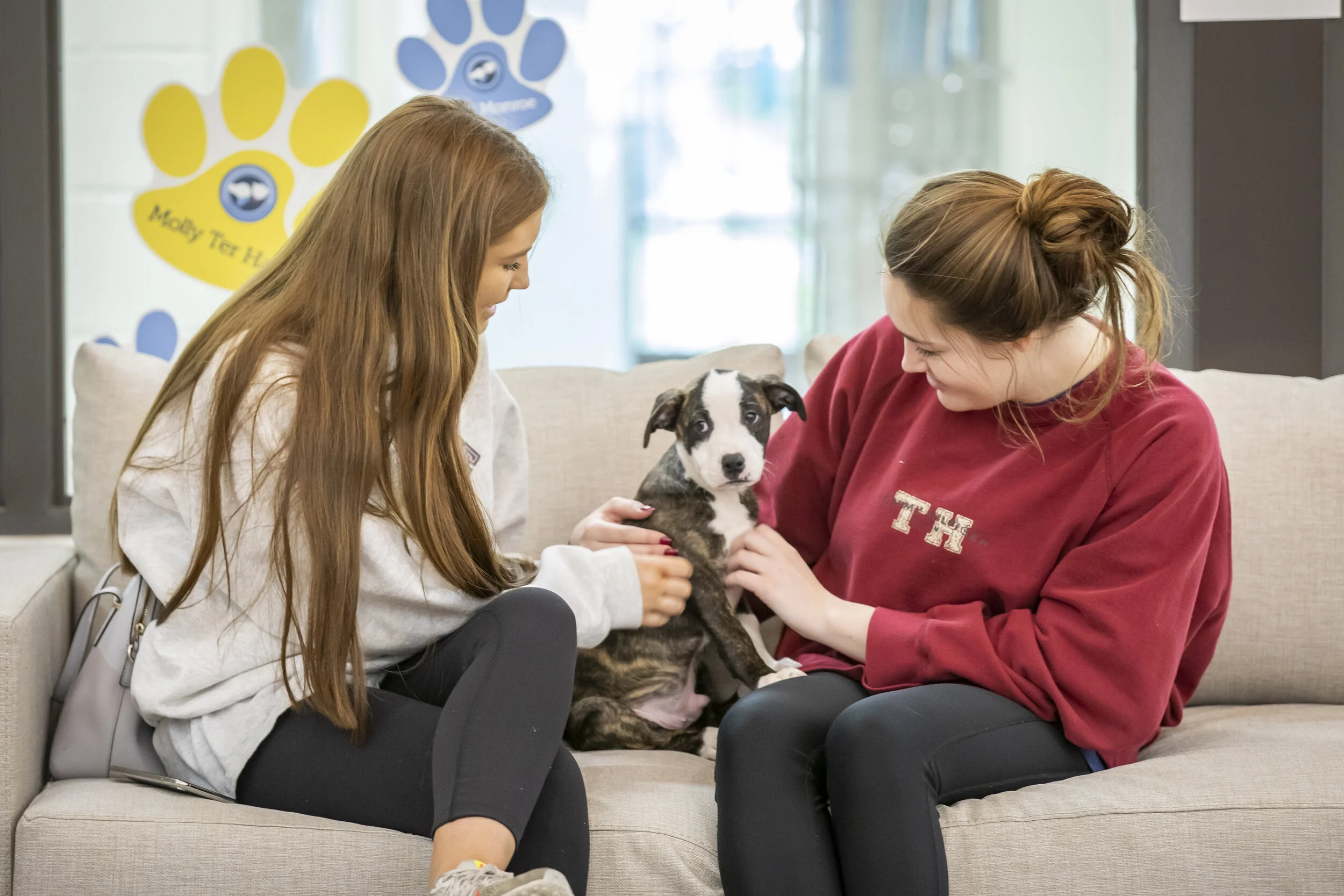 About CAA — Companion Animal Alliance