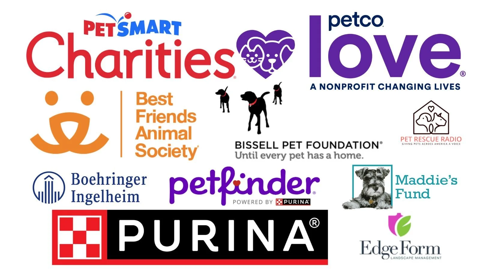 Camp Luv-A-Pet — Companion Animal Alliance