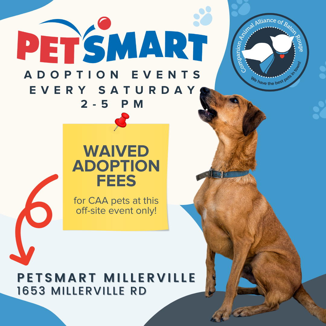 Companion Animal Alliance