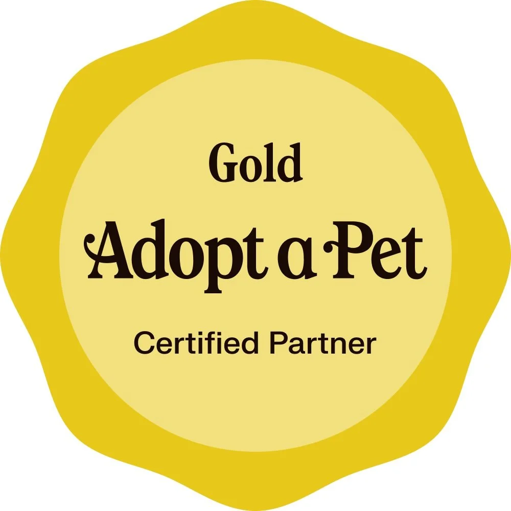 Adoptable Pets — Companion Animal Alliance