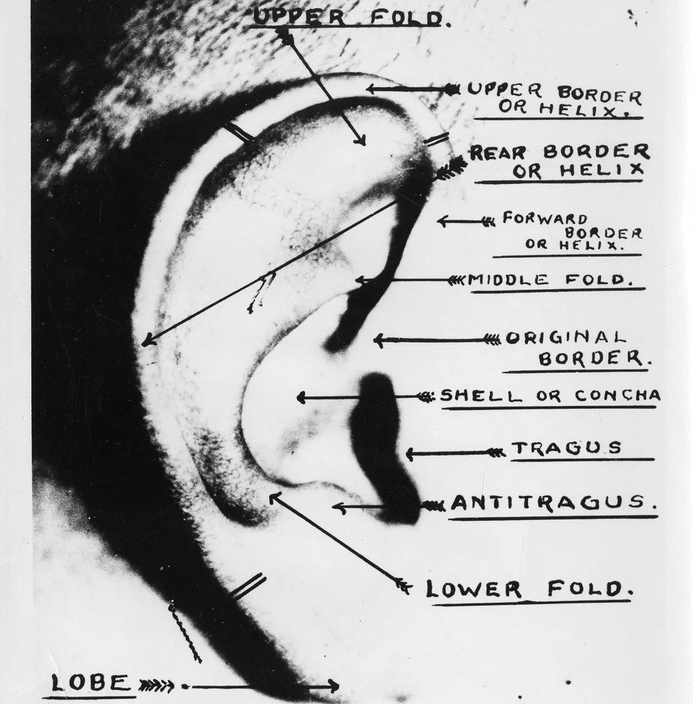 Pierced in Lethbridge — Galt Museum & Archives