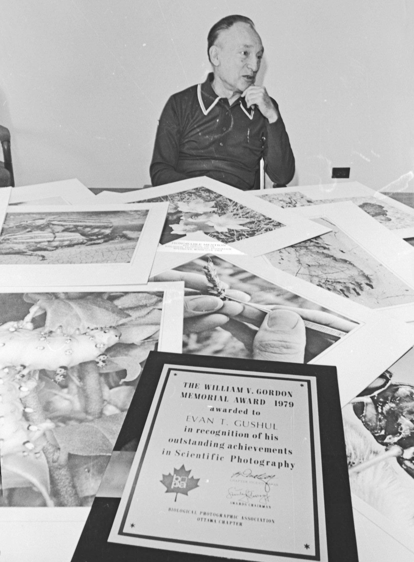 Capturing a Legacy — Galt Museum & Archives