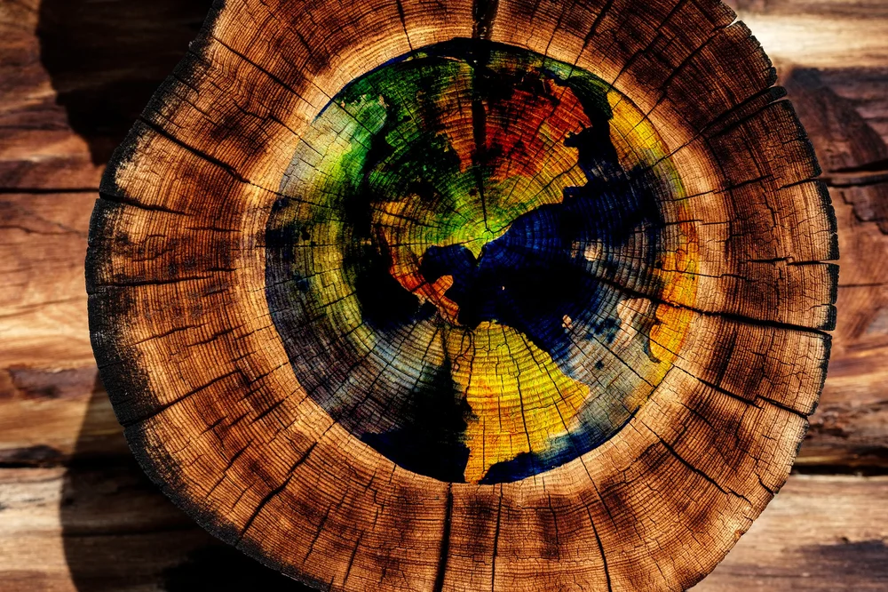 Earth Day Wooden Paintings — Galt Museum & Archives