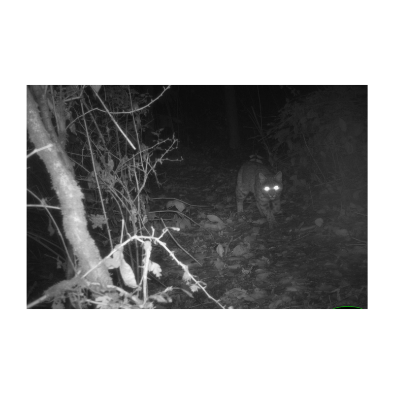 Projects — Samara Group