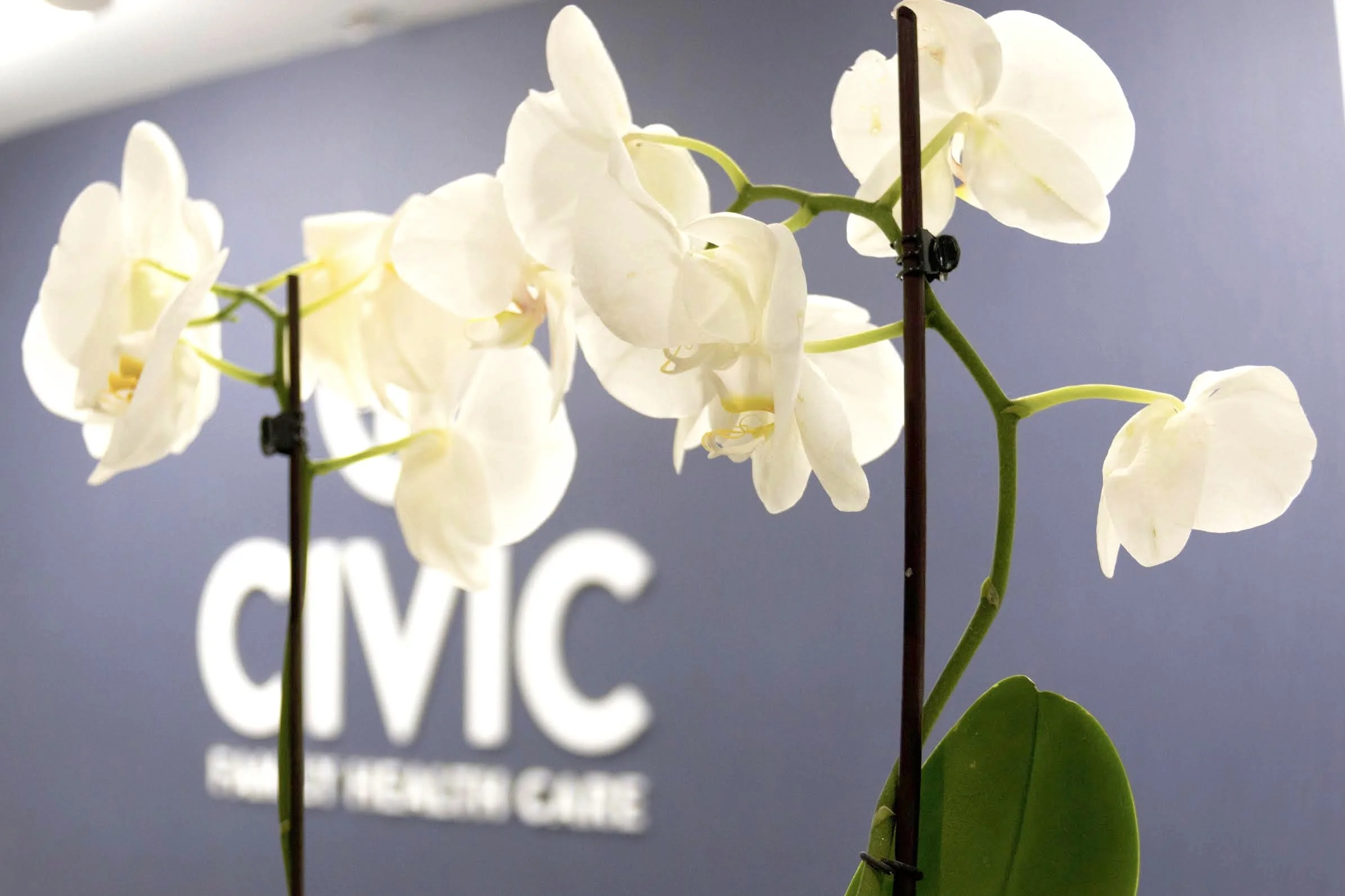 TOUR OUR PRACTICE — CIVIC FAMILY HEALTH CARE