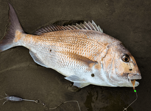 Flasher Rig Fishing: Easy As. — BKK Hooks New Zealand