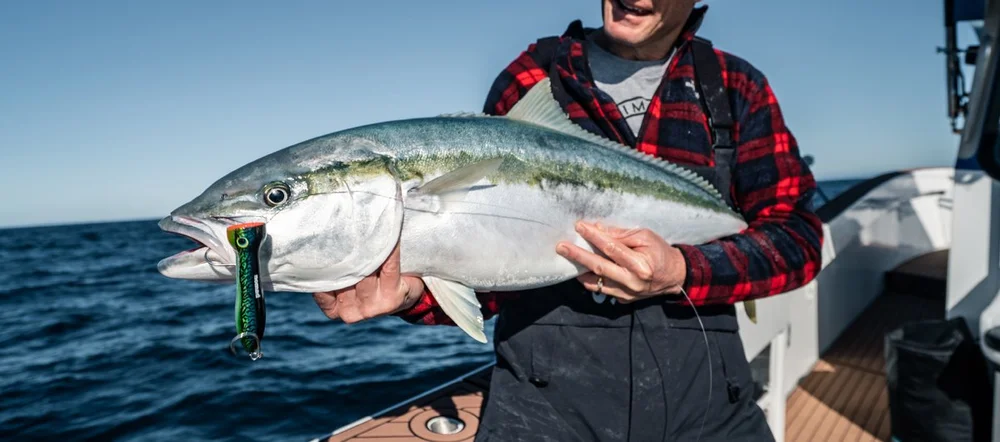 Top Water Lure Hooks: What You Need to Know — BKK Hooks New Zealand