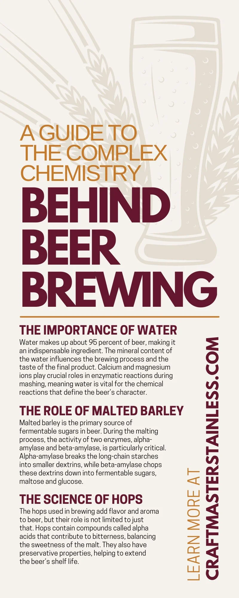 A Guide to the Complex Chemistry Behind Beer Brewing
