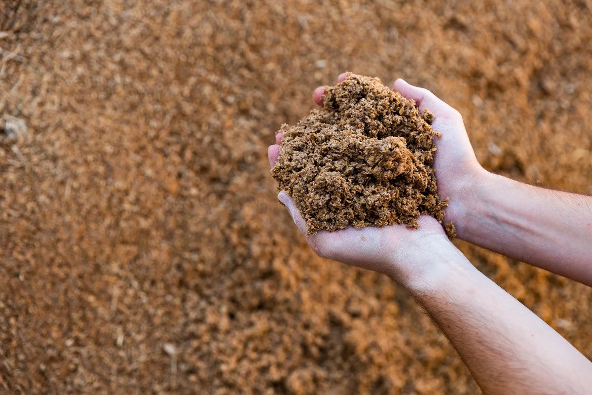 5 Ways Breweries Manage Their Spent Grain