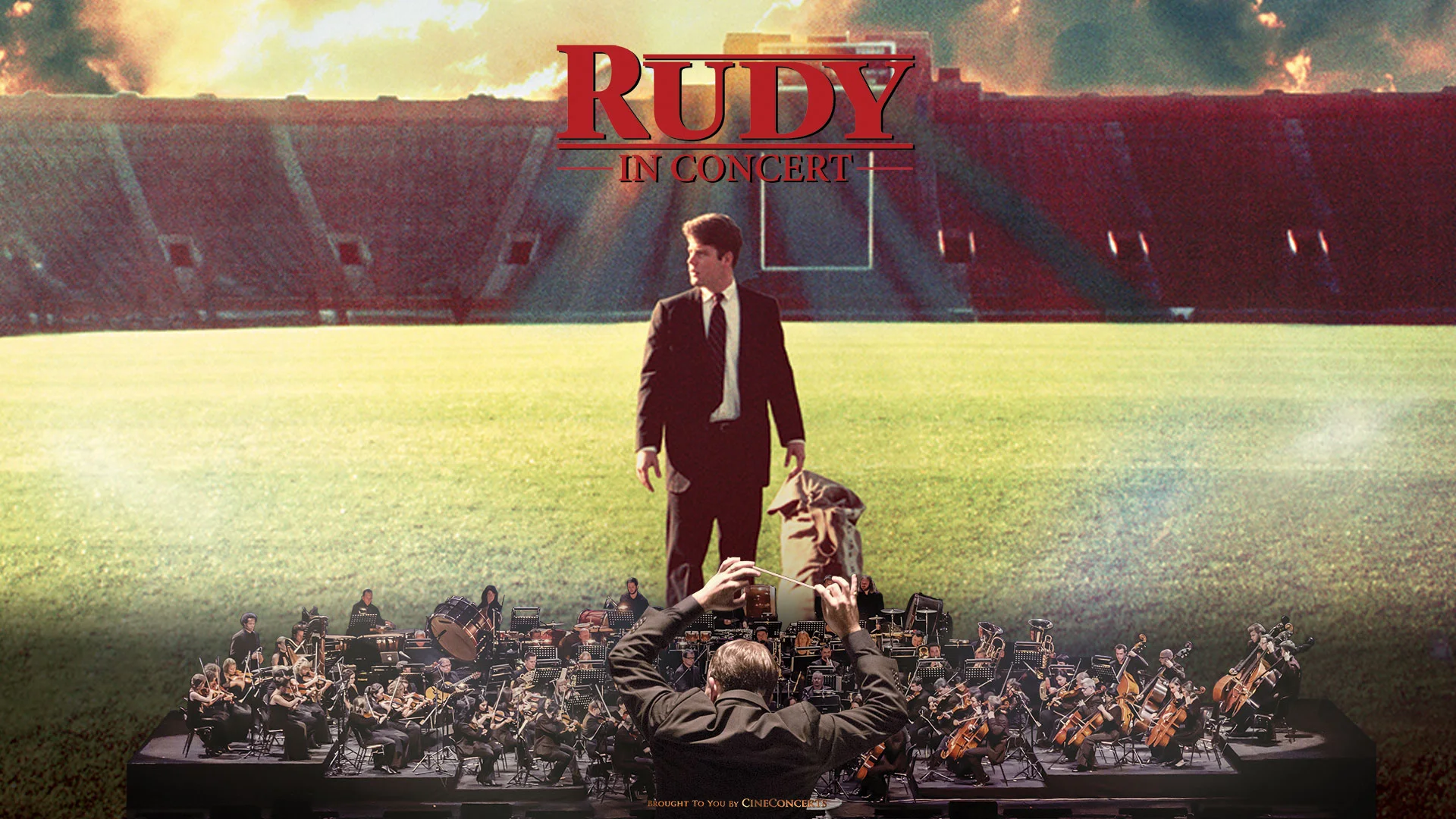 Rudy Movie Wallpaper