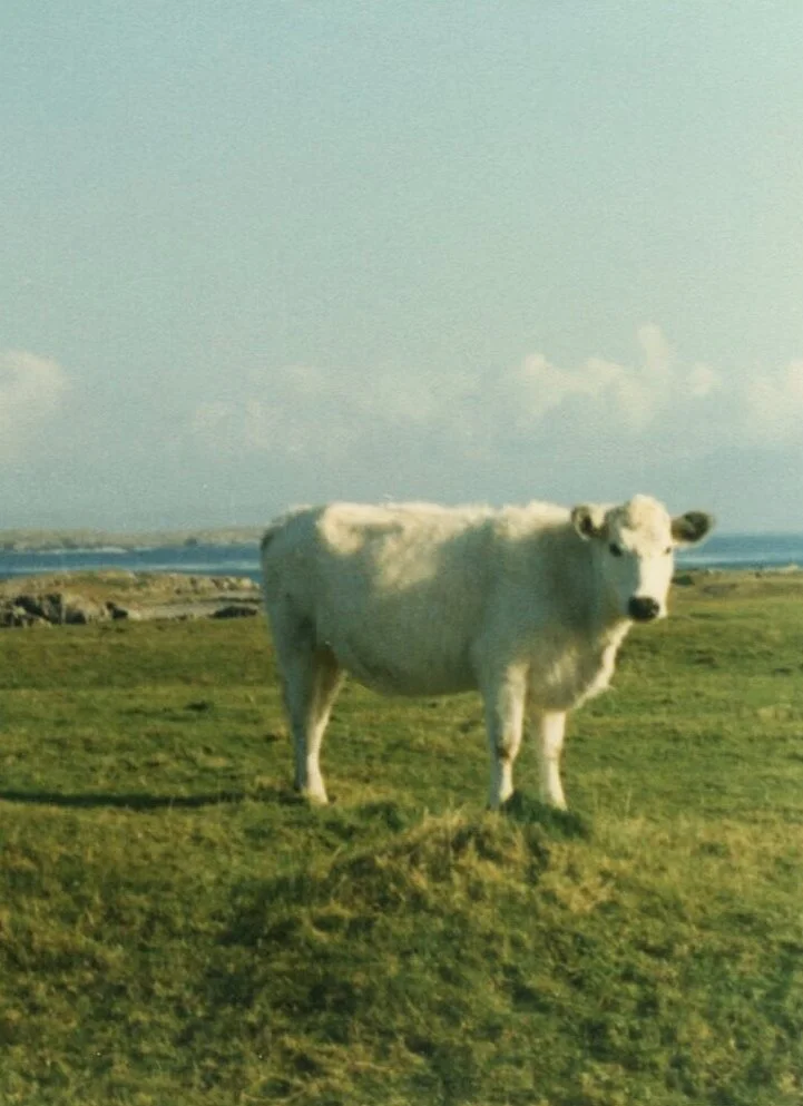 Blog — The-Vagabond-Muse