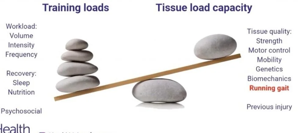 Jumpers Knee-- Patella Tendinitis Rehab