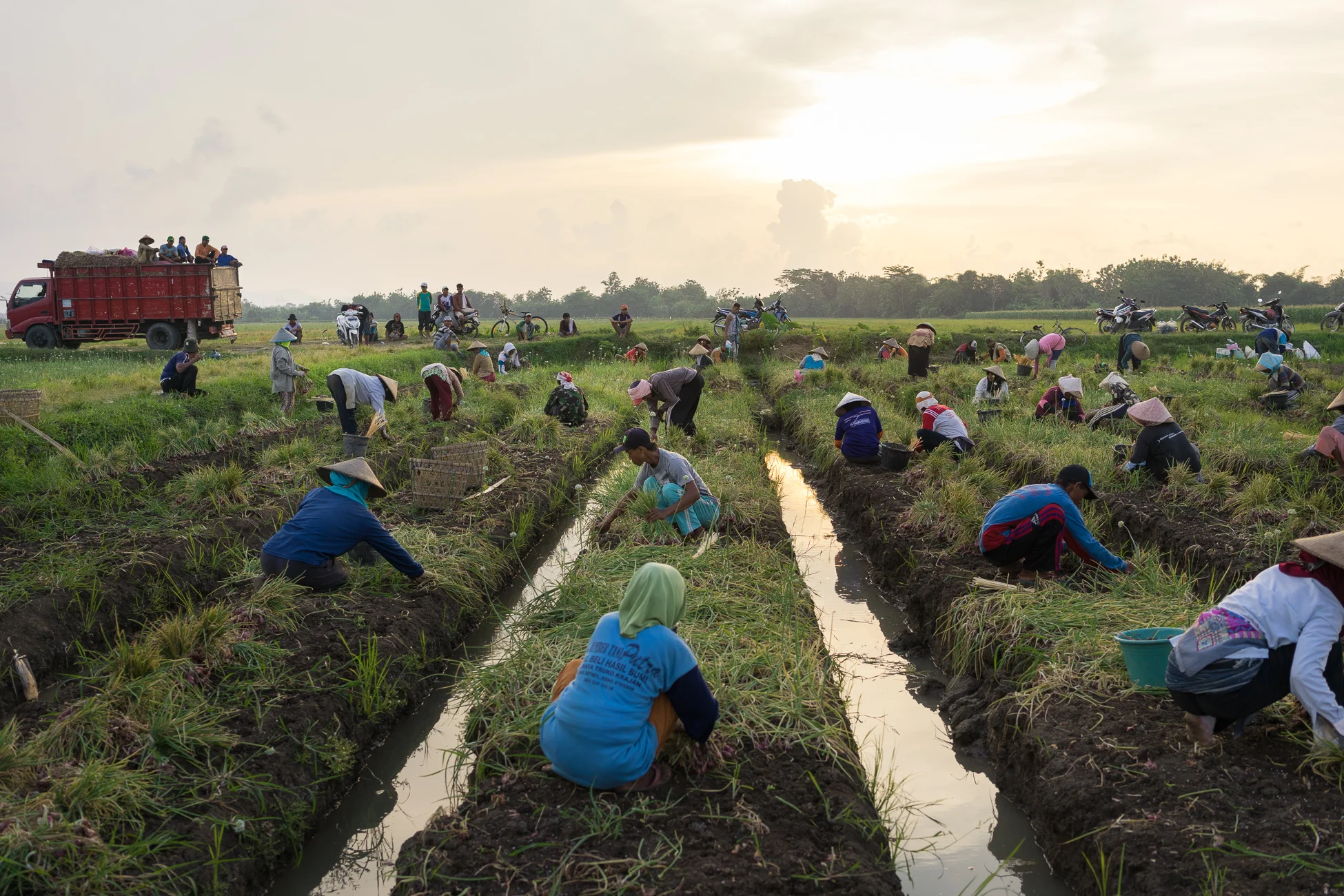 DREAMING SINGAPORE — Ruom Collective