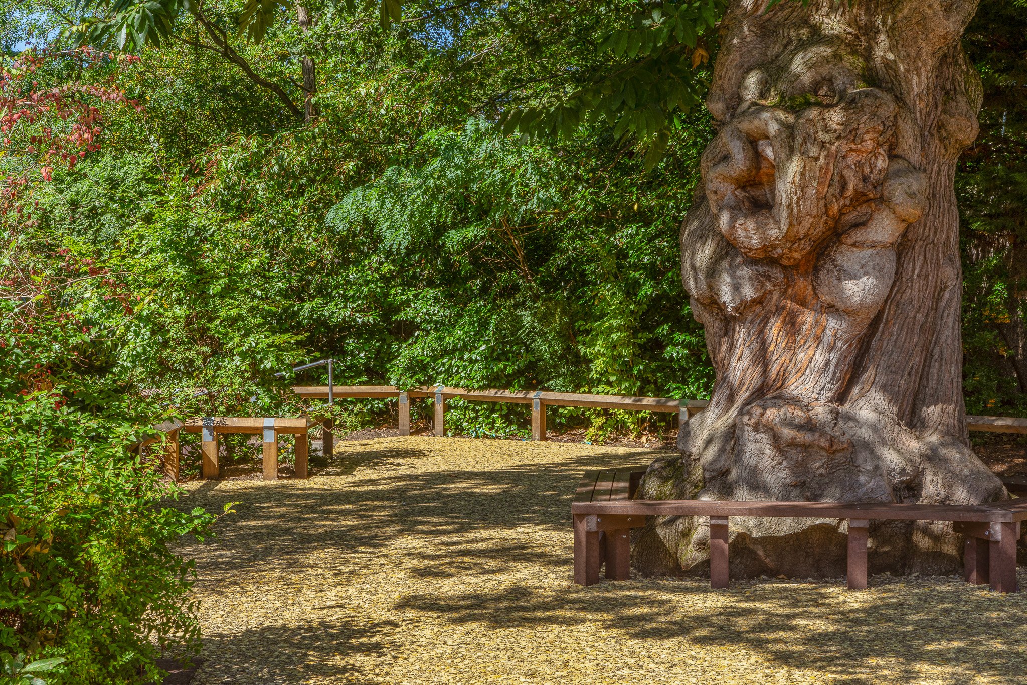 Outdoor Early Years Play & Learning Area Construction — Valley Projects