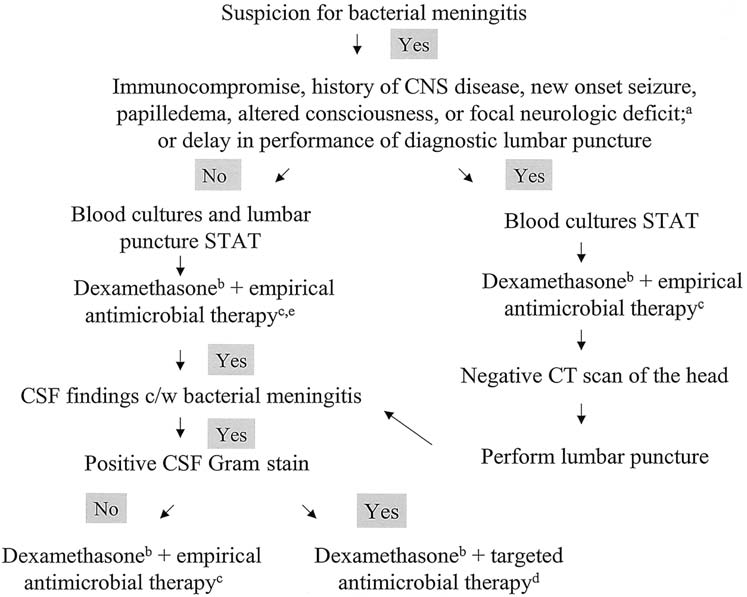 POTD: IDSA Guidelines for CT before LP — Maimonides Emergency Medicine ...