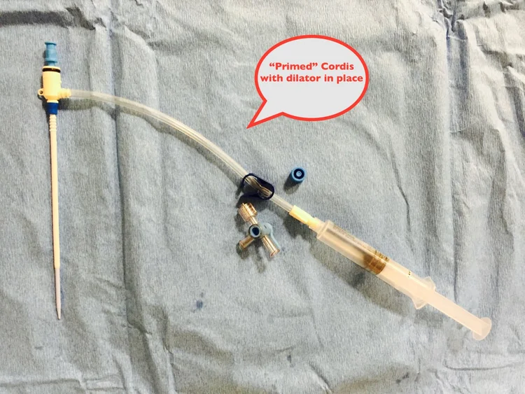 Cordis Placement POD — Maimonides Emergency Medicine Residency