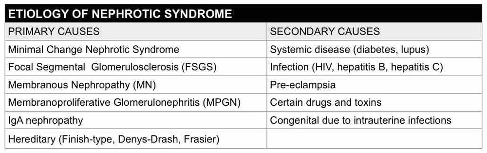 Nephrotic Syndrome Pearl of the Day — Maimonides Emergency Medicine ...