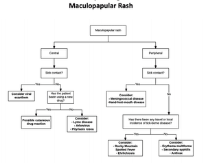 Don't be Rash about Deadly Rashes — Maimonides Emergency Medicine Residency