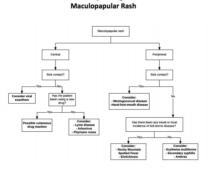 Don't be Rash about Deadly Rashes — Maimonides Emergency Medicine Residency