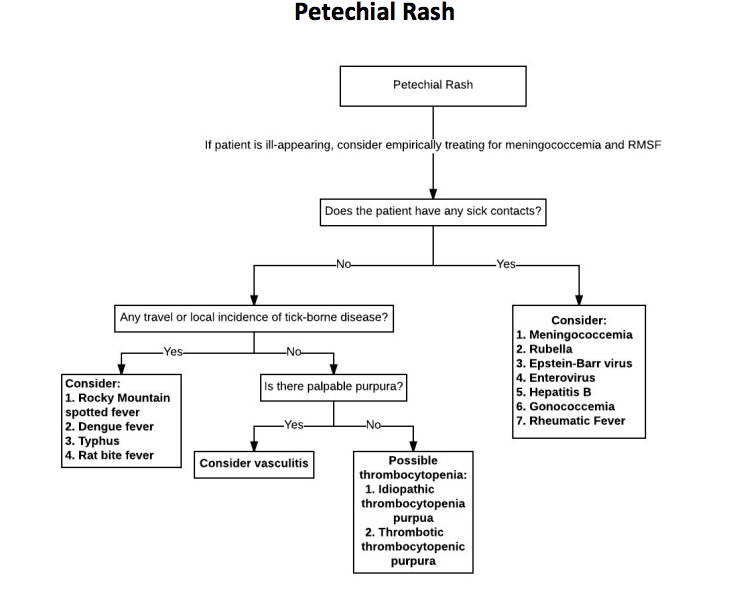 Don't be Rash about Deadly Rashes — Maimonides Emergency Medicine Residency