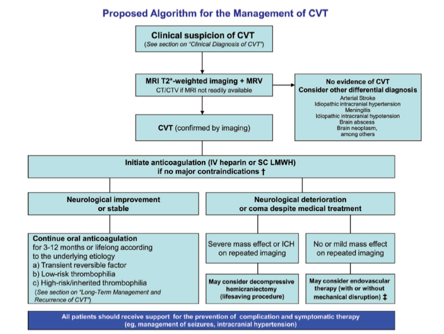 POTD: Cerebral Venous Sinus Thrombosis (CVST) — Maimonides Emergency ...